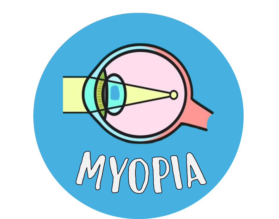 Insights – Eye N Brain